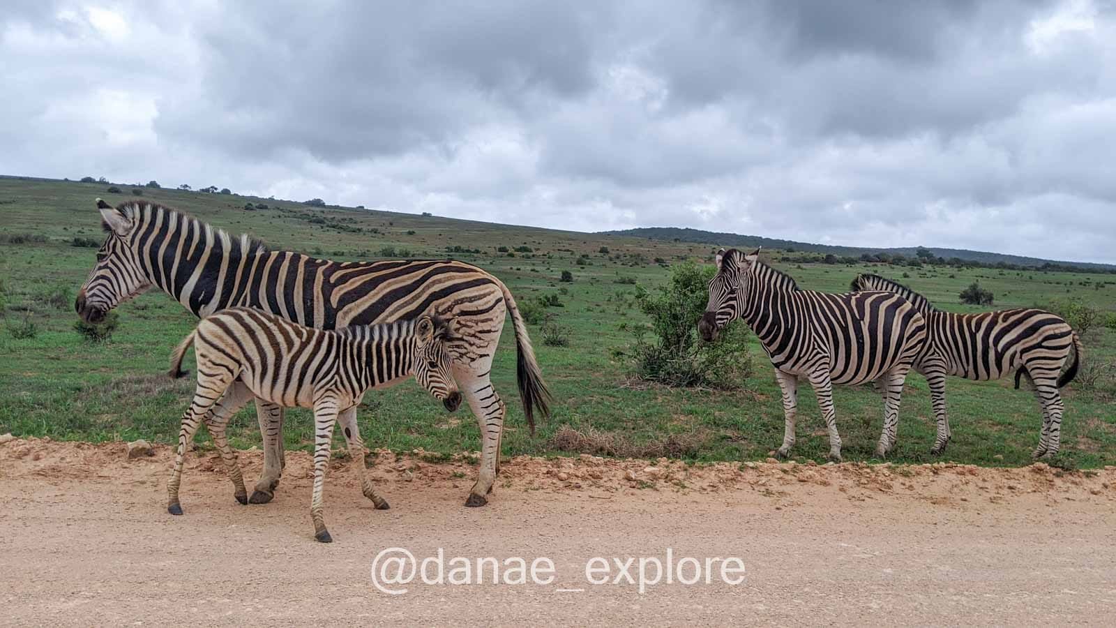 20 days South Africa itinerary